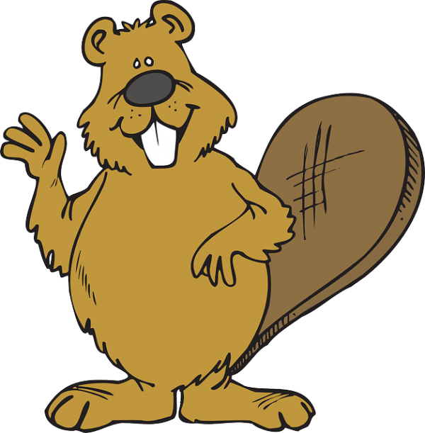 What’s with you eating beaver butt goo? | Michael Cheney Blog